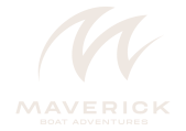 Maverick Boat Adventures | Boat Trips and Water Sports in Sussex